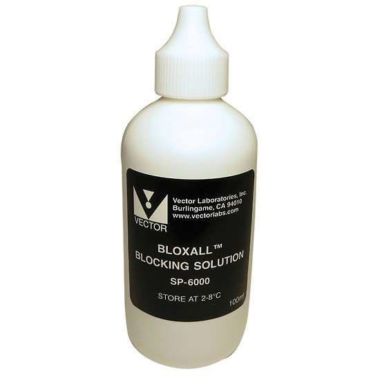 Vector Laboratories Bloxall™ Dual-Enzyme Blocking Solution, 100 ml - Product | John Morris Group