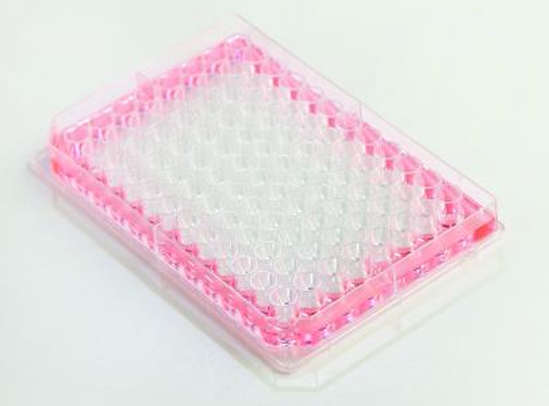 Microplates Nunc Edge 2.0, 96 well flat bottom, clear, sterile, w. lid ...
