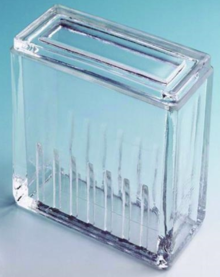 Staining troughs,glass,Hellendahl,for 16 slides - Product | John Morris ...
