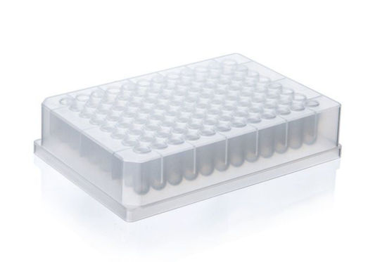 Deep Well Plates, 0.5 ml 96-well, PP, Non-Sterile, Stackable, Pack of ...