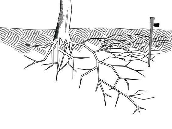 Buy the Spectrum, Part number 6422LT, Low Tension Tensiometer - 24in ...