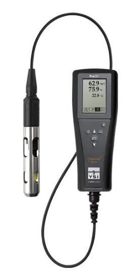 Xylem Pro20i-10 G Kit, Dissolved Oxygen & Temperature Handheld, 10 m ...