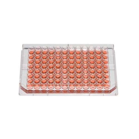 Thermo Scientific Nunc 96 Well Edge Plate with Lid, Sterile, Non ...