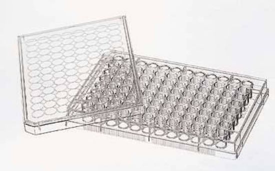 Costar 96-Well Treated Cell Culture Plates with Lid, Round Well ...