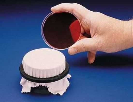 Cole-Parmer Replica Plating Tool For 90 To 100 mm Petri Dishes | John ...