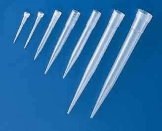 Eppendorf Eptips Filter 20–300 µL PCR Clean Sterile Pipette Tips | John ...