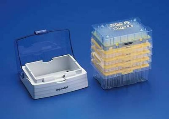Eppendorf EpTIPS 2–200 µL 10/Tray Reloads Refillable Pipette Tips ...
