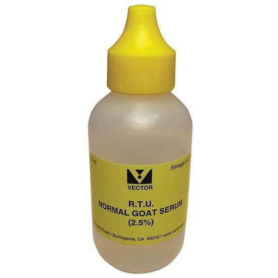 Cole-Parmer Vector Laboratories Normal Goat Serum, 2.5% Solution (v/v); 50 mL | John Morris Group
