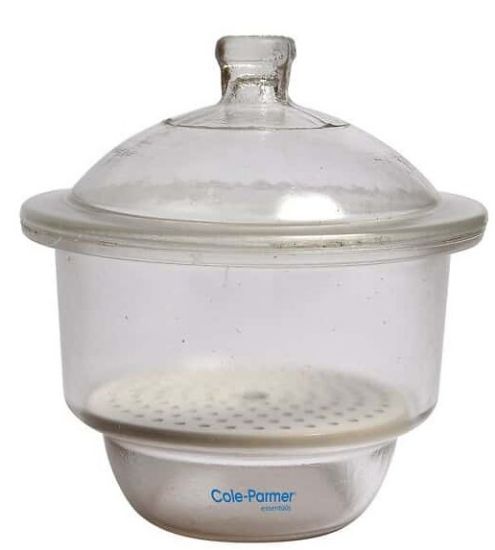 Cole-Parmer Essentials Glass Dome Desiccator, 6" / 150 mm dia | John ...