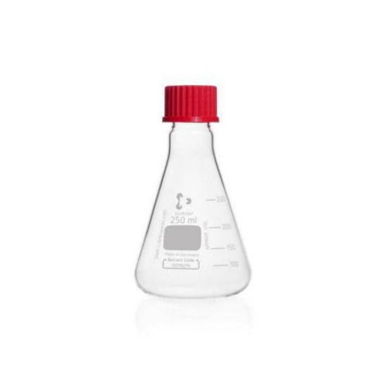 DWK Life Sciences DURAN Erlenmeyer Flask with Screw Cap, 250 ml | John ...