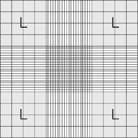 Counting chamber acc. to Neubauer, CE double ruling | John Morris Group