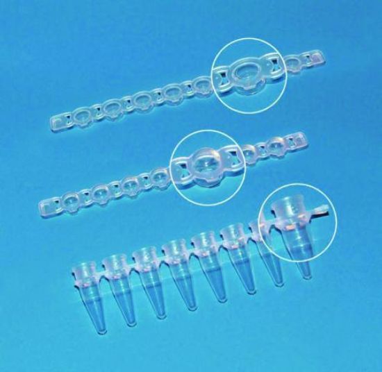 BRAND 8 PCR Tube Strips, 0.2 ml, Transparent, Without Caps, Pack of 125 ...