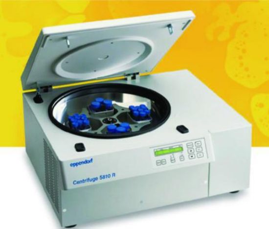 Eppendorf SE Centrifuge 5804 R Cooled Without Accessories | John Morris ...