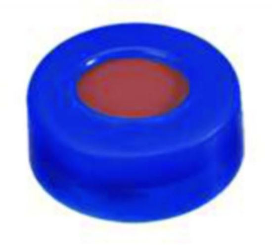 LLG PE Snap Ring Seals ND11, N 11 Blue PE, Center Hole, Red Rubber/PTFE ...
