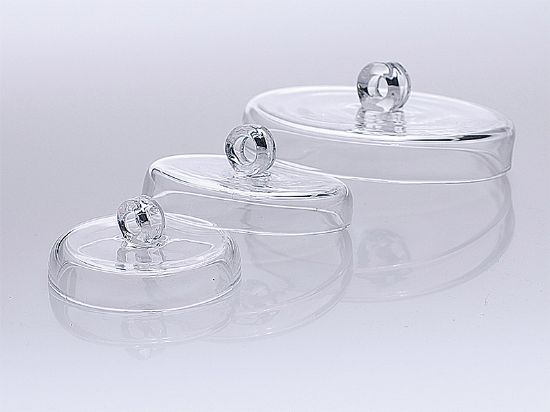 ProQuarz Quartz Glass Crucible Lid 64 Mm Dia. For Crucibles With 60 Mm ...