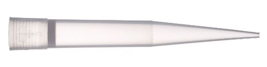 Buy the Gilson, Part number F171703, Diamond Filter Tips, sterilised ...