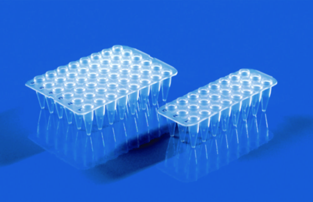 48-well PCR-plates 0.2 ml PP, white, qPCR, non skirted pack of 20 ...