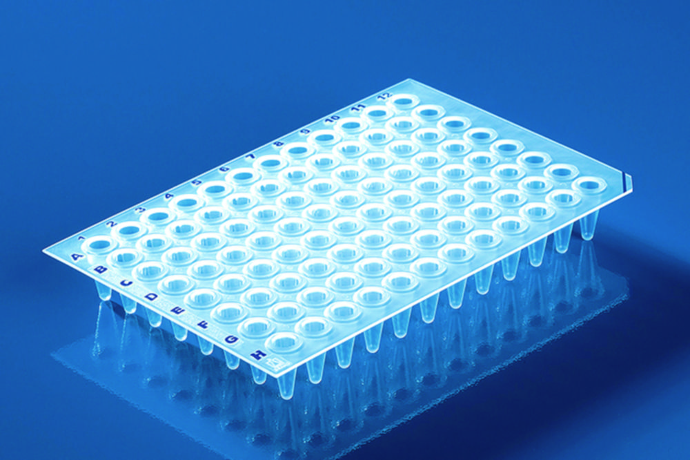 PCR-plates 96-well half frame, Low Profile, raised frame, clear, blue ...
