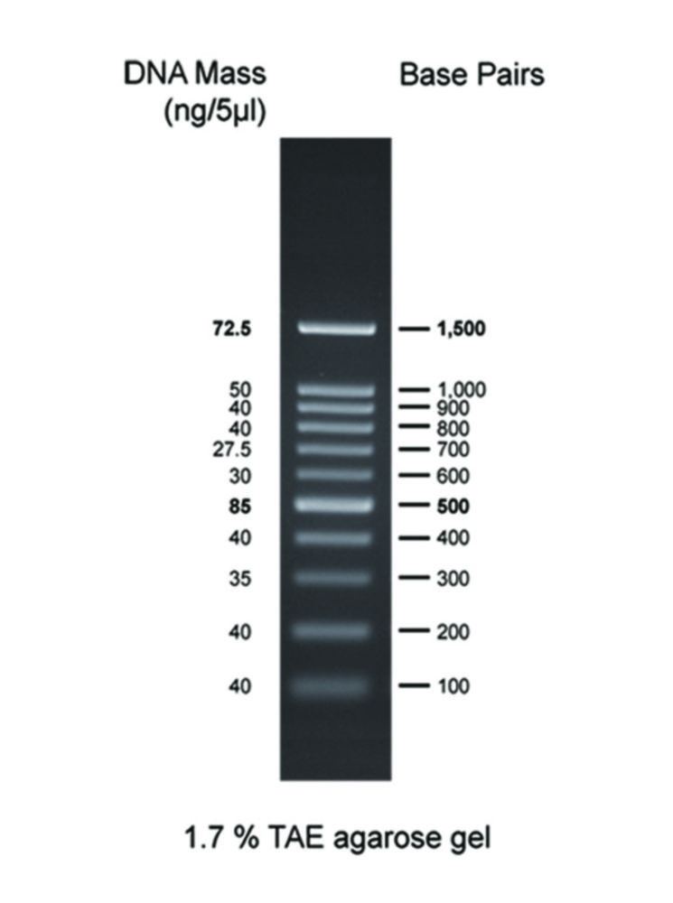 DNA ladder 100bp 100-1500bp, 1x500 µl vial | LabFriend Indonesia
