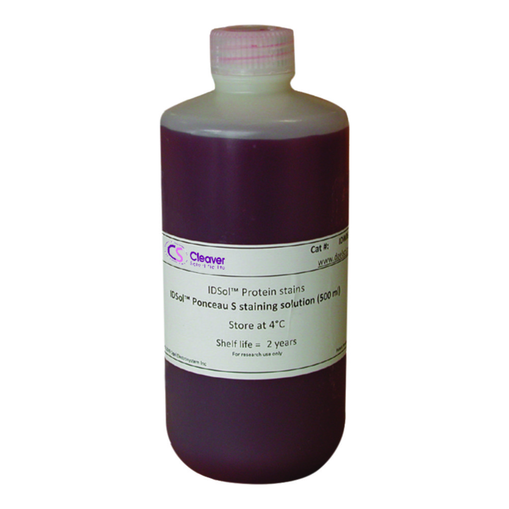 Ponceau S staining solution (500 ml) | LabFriend South Africa