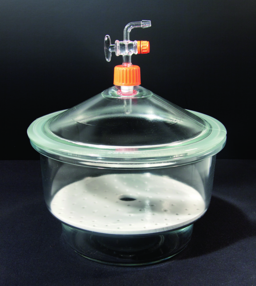 LLG-Desiccator with stopcock 200mm with porcelain plate | LabFriend ...