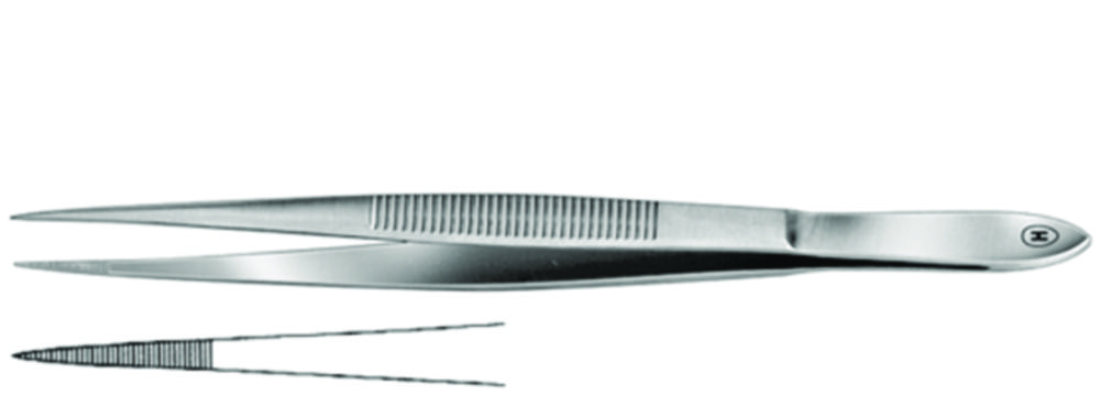 Fine dissecting forceps 90mm straight ends | LabFriend | Laboratory ...