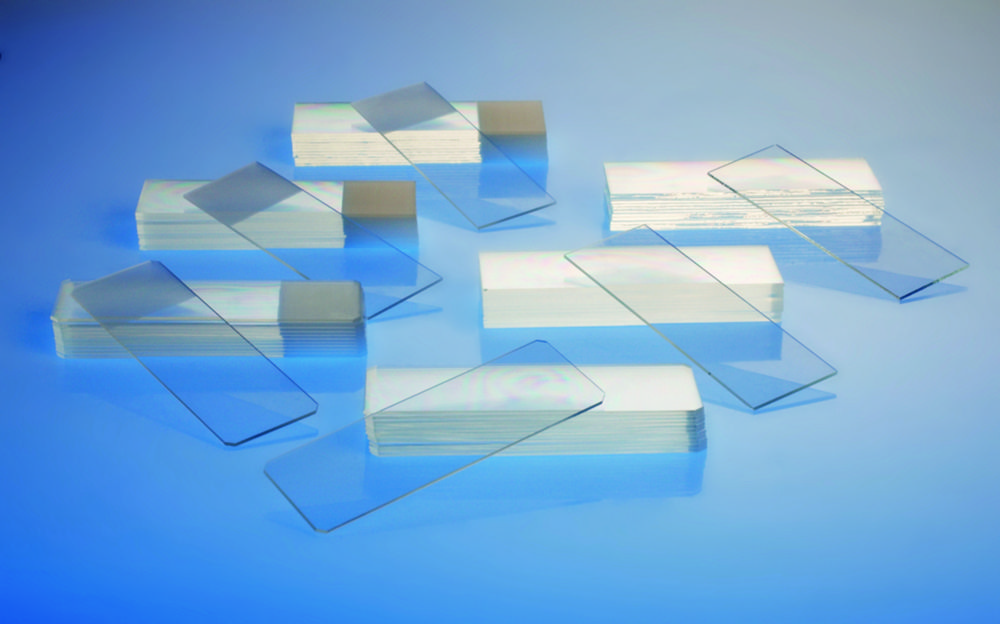 Epredia Microscope Slides 76x26 mm, Extra White, Cut Edges with Frosted ...