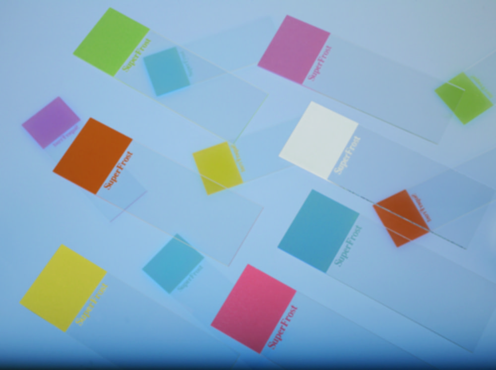 Epredia Superfrost-OT Microscope Slides 76x26 mm, 1.0 mm Ground Edges ...