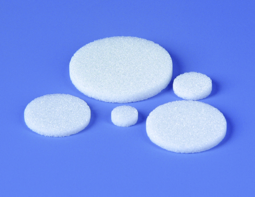 Filter plate 20 mm, porosity 3 centred, rim not fused | LabFriend South ...