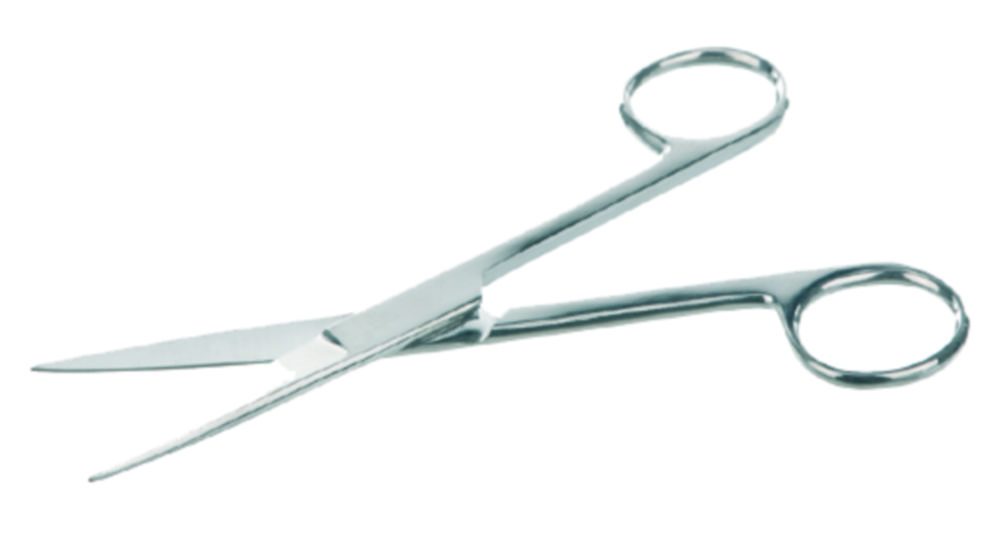 BOCHEM Laboratory Scissors SP/SP 145mm Straight, Type 2 Stainless Steel ...