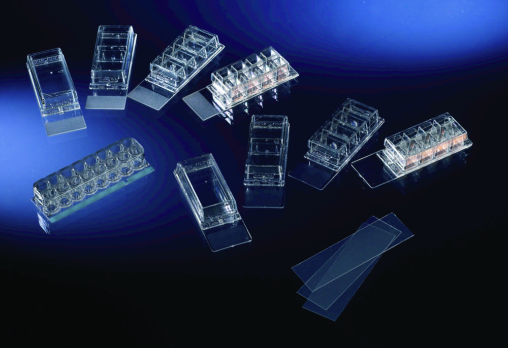 Thermo Nunc Lab-Tek TPX 8-Well Chamber Slides, Sterile (Pack of 16 ...