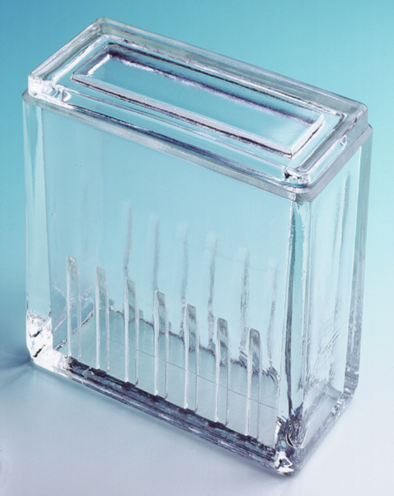 Glaswarenfabrik Glass Staining Trough Hellendahl for 16 Slides, Depth ...