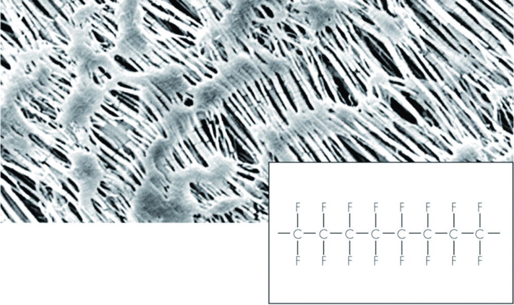 Sartorius Membrane Filters Ø 50 mm (White), Pack of 100, PTFE ...